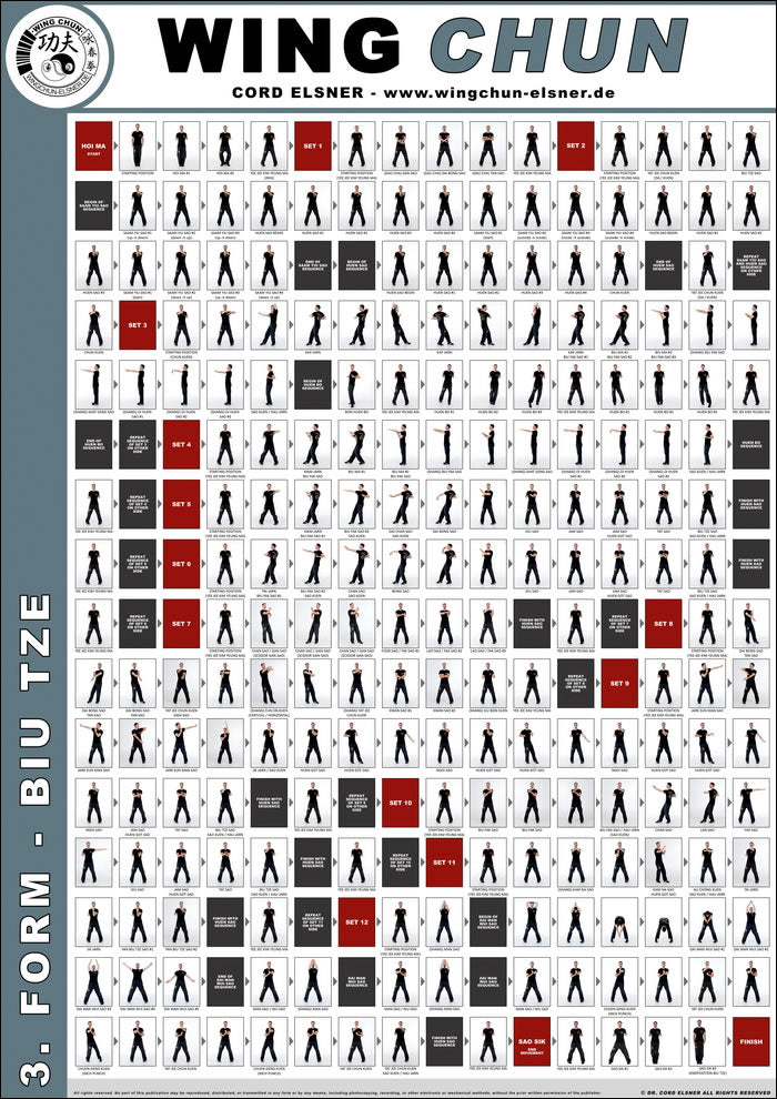 03 - BIU TZE Poster (Digital Download) – WING CHUN Shop