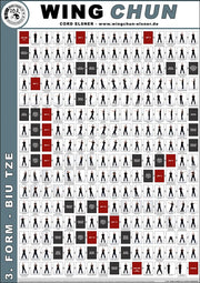 03 - BIU TZE Poster (Digital Download) – WING CHUN Shop